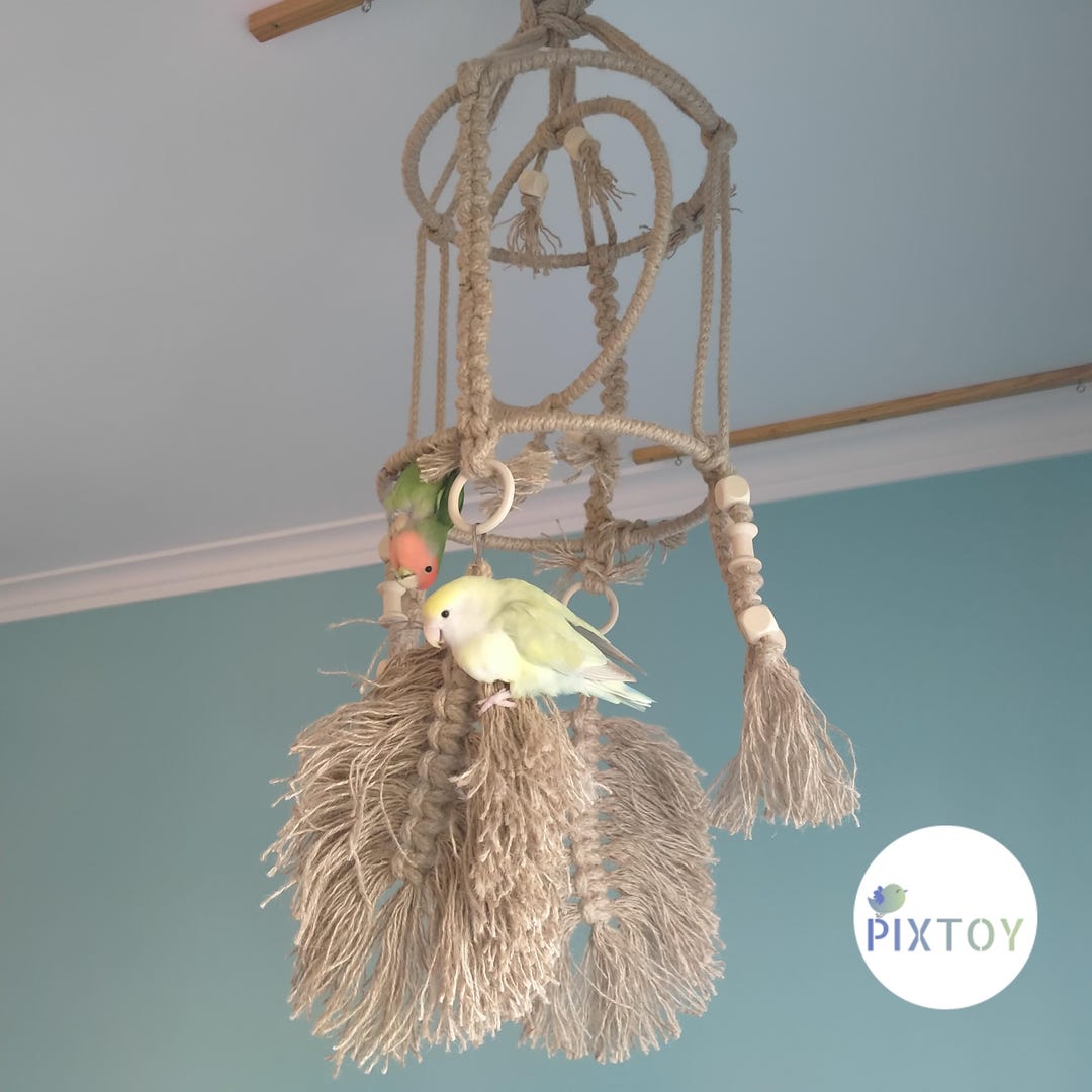 Handmade Royal Bird Swing | Bird Toy for Parrots | Macramé Parrot Swing ...