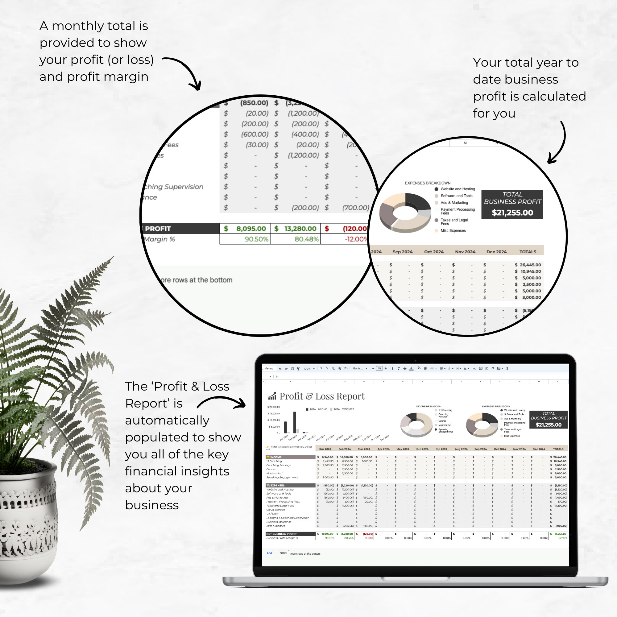 Simple Finance Tracker Google Sheet for Life Coaches, Profit and Loss ...