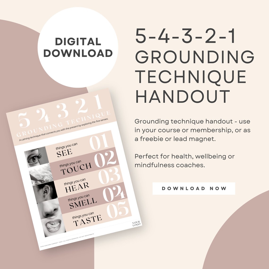 Grounding Technique Handout, Freebie, Lead Magnet, Worksheet, Canva ...