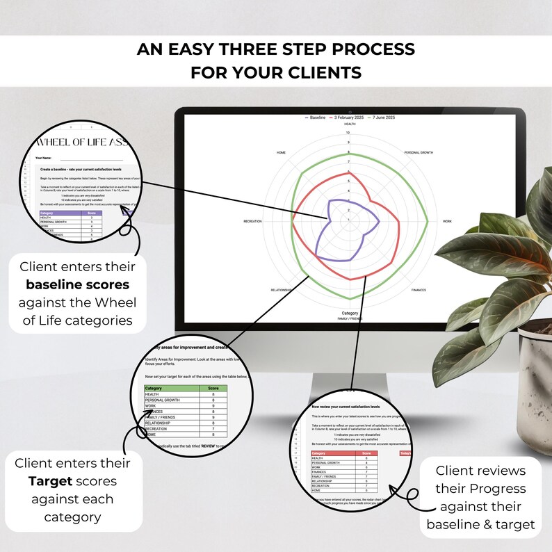 Wheel of Life Google Sheet Template for Coaches Client Life Balance ...