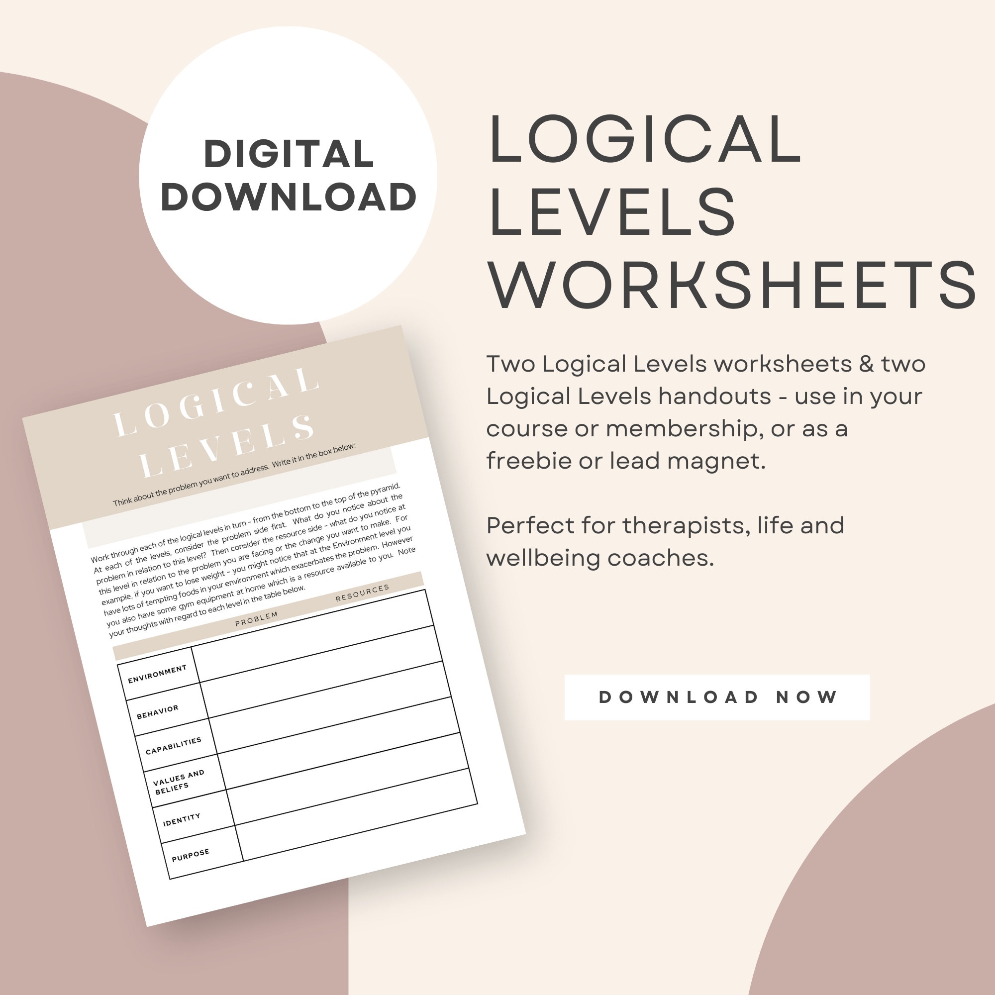 Logical Levels Coaching Worksheets, Freebie, Lead Magnet, Handout ...
