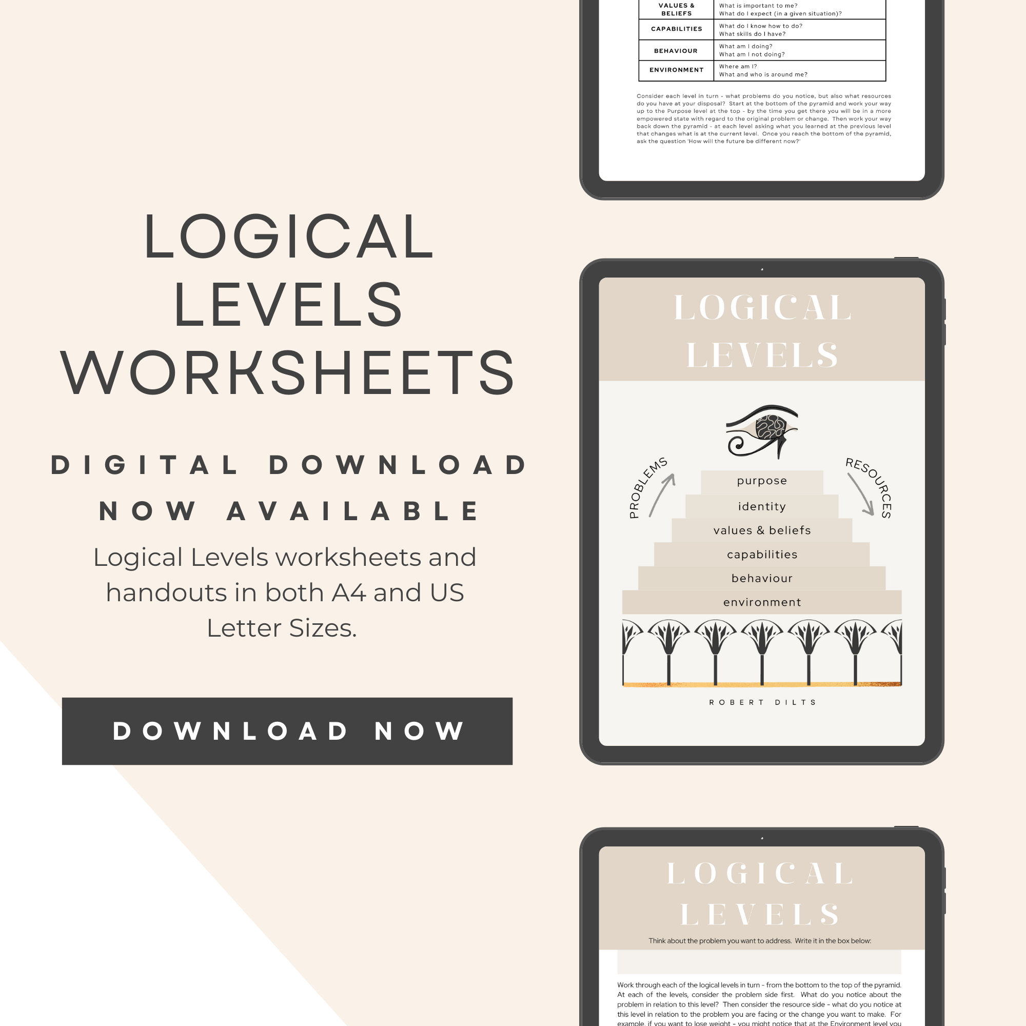 Logical Levels Coaching Worksheets, Freebie, Lead Magnet, Handout ...
