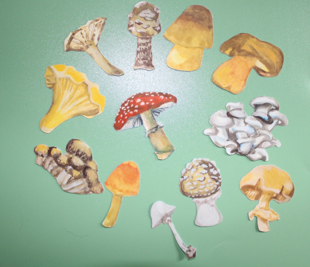 Cottagecore Mushroom Sticker Pack - Etsy