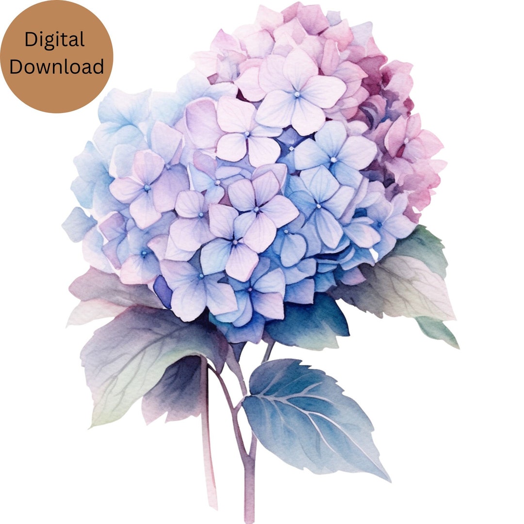 Hydrangea. (hortensia) Digital Download Hydrangeas Print Floral Wall Art Floral Prints Downloads ...