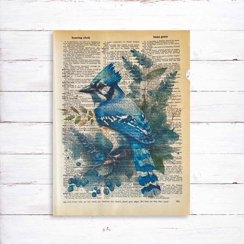 Blue Jay Art - Etsy