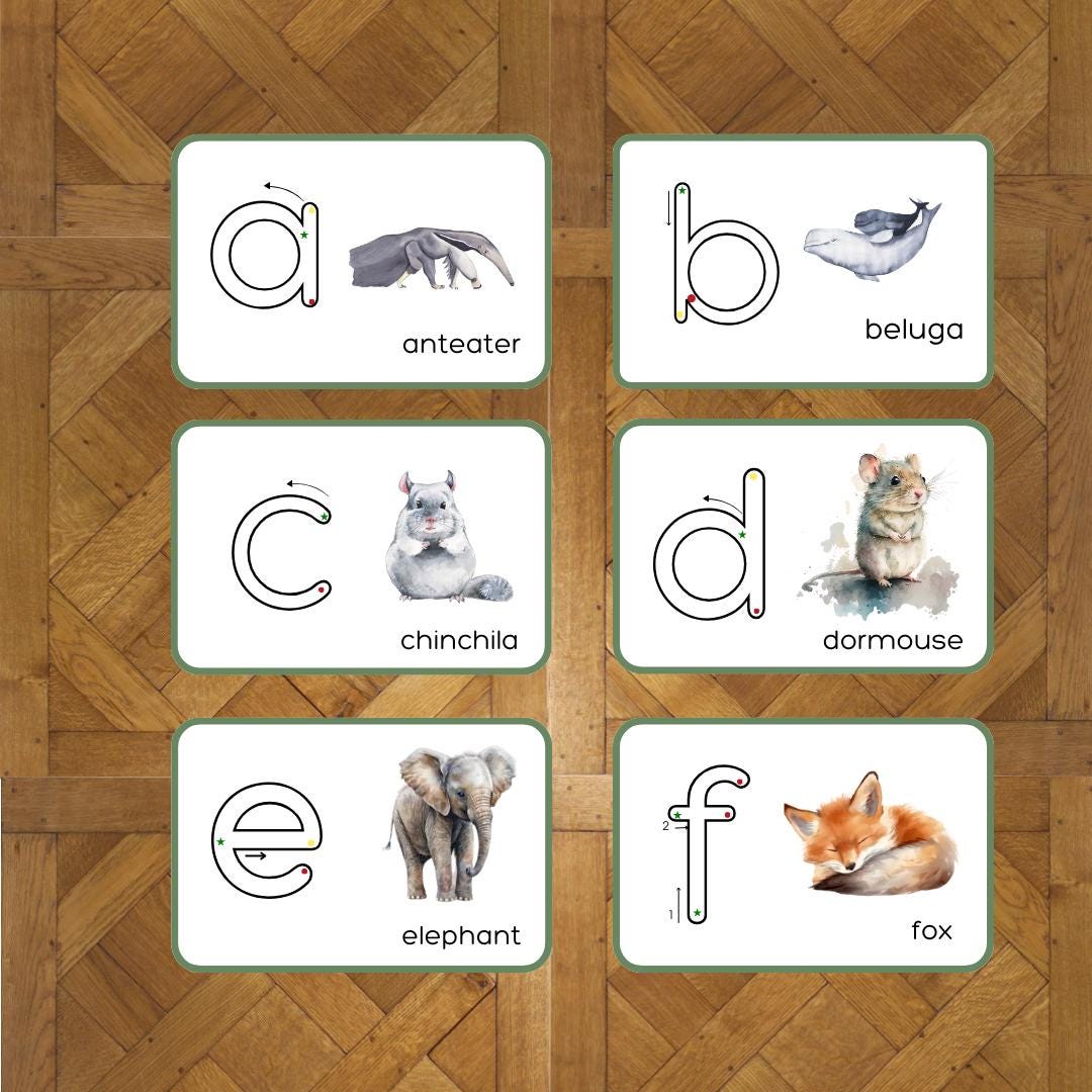 Printing Primer Cards Alphabet Lowercase, Mammals Letter Tracing - Etsy