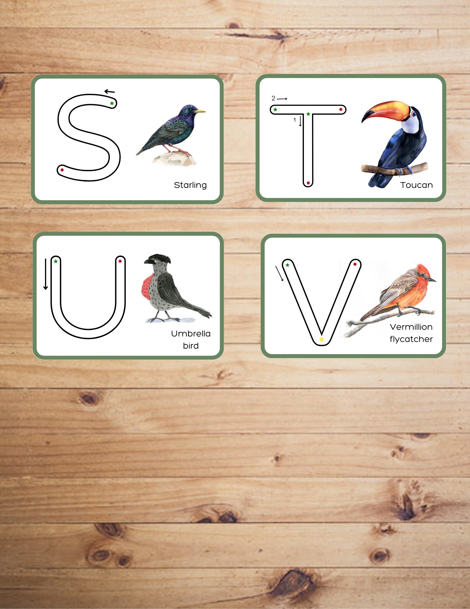 Printing Primer Cards Alphabet Uppercase Birds Letter Tracing - Etsy