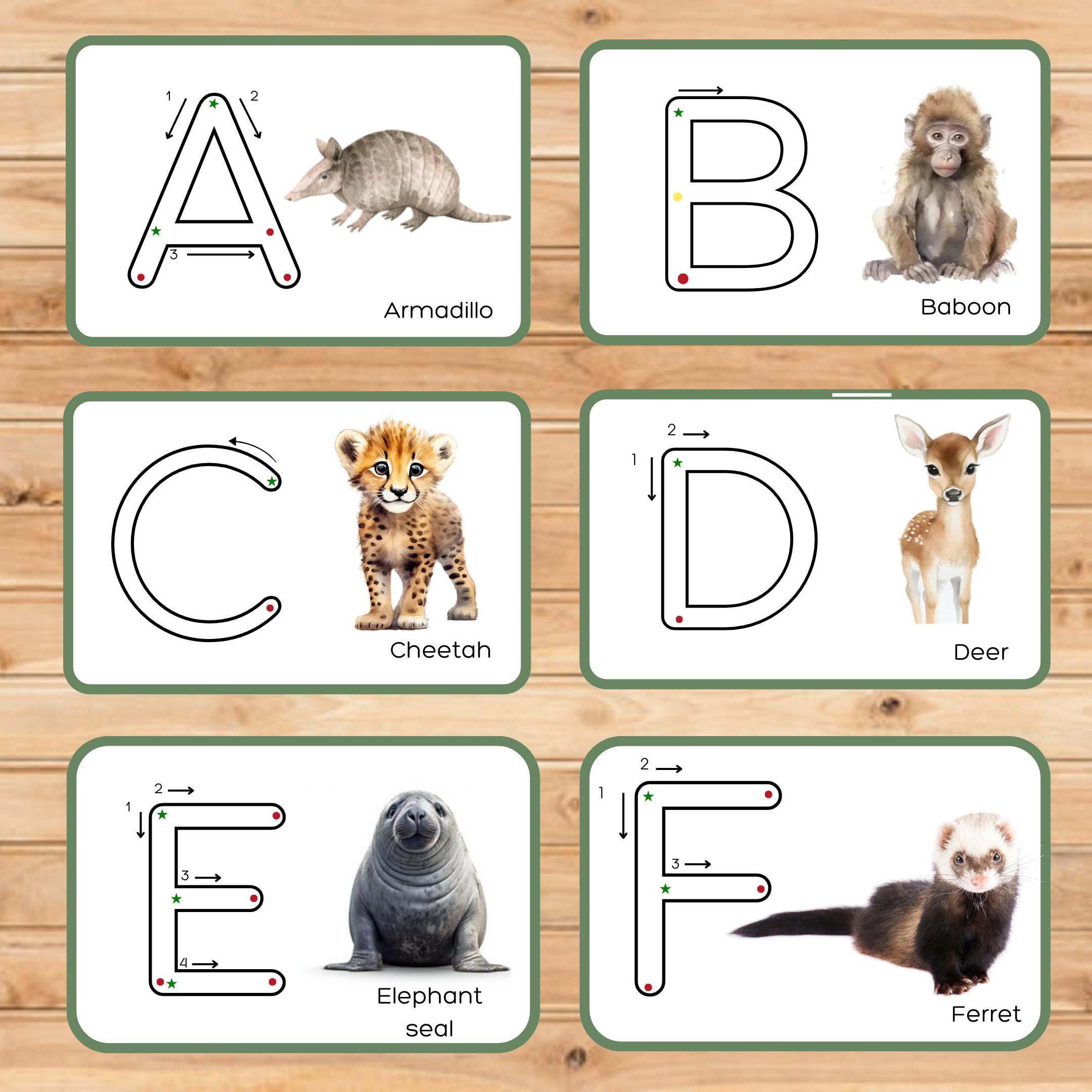 Printing Primer Cards Alphabet Uppercase MAMMALS Letter Tracing - Etsy