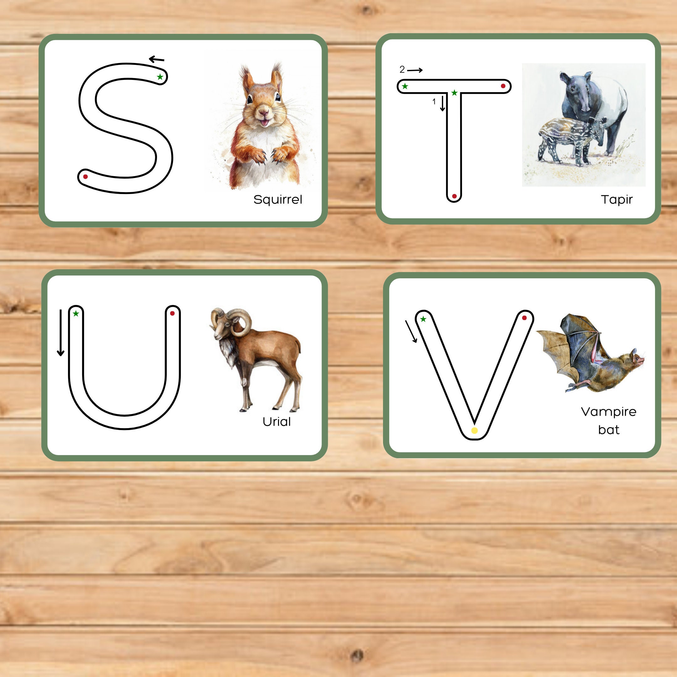 Printing Primer Cards Alphabet Uppercase MAMMALS Letter Tracing - Etsy