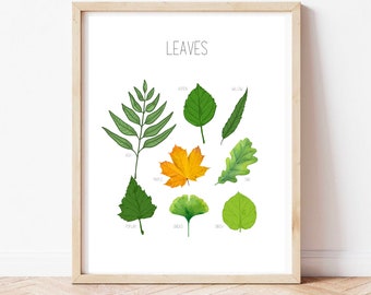 Educational Leaves Poster, Leaf Types Print, Printable Wall Art ...