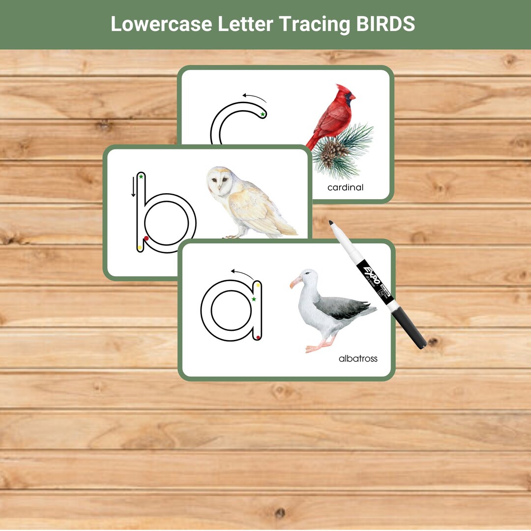 Printing Primer Cards Green Alphabet Lowercase, Birds Letter Tracing - Etsy