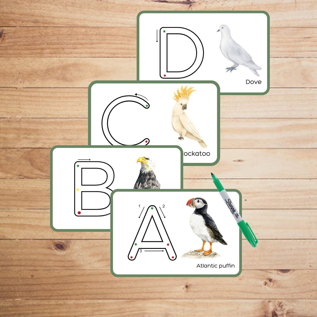 Printing Primer Cards Alphabet Uppercase Birds Letter Tracing - Etsy