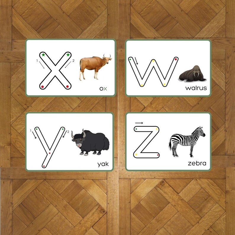 Printing Primer Cards Alphabet Lowercase, Mammals Letter Tracing - Etsy