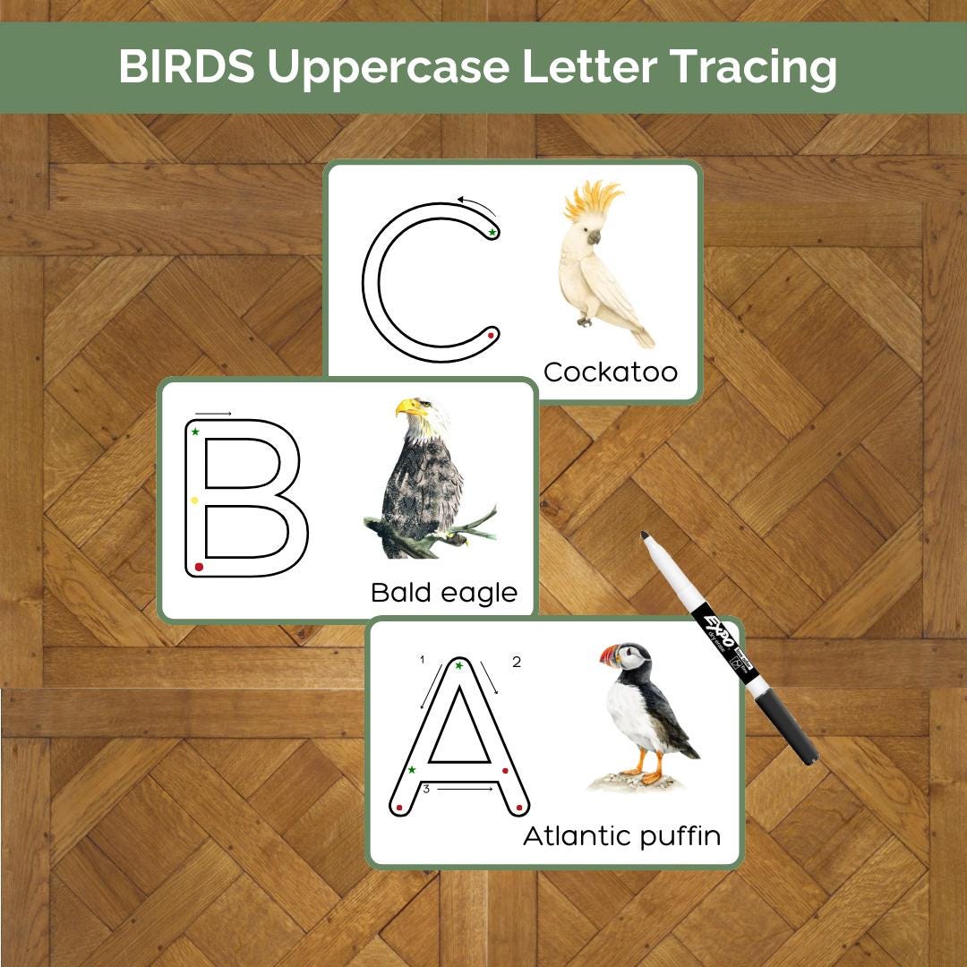 Printing Primer Cards Alphabet Uppercase, Birds Letter Tracing - Etsy
