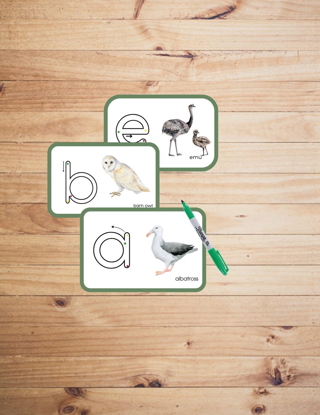 Printing Primer Cards Green Alphabet Lowercase Birds Letter - Etsy