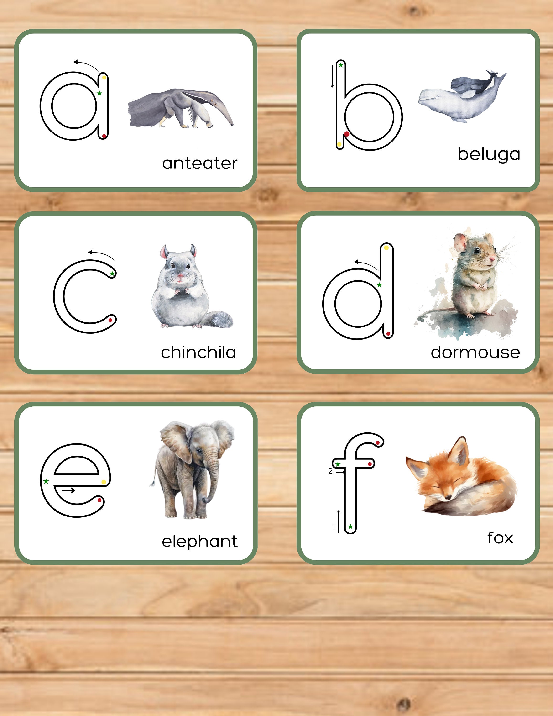 Printing Primer Cards Alphabet Lowercase Mammals Letter - Etsy