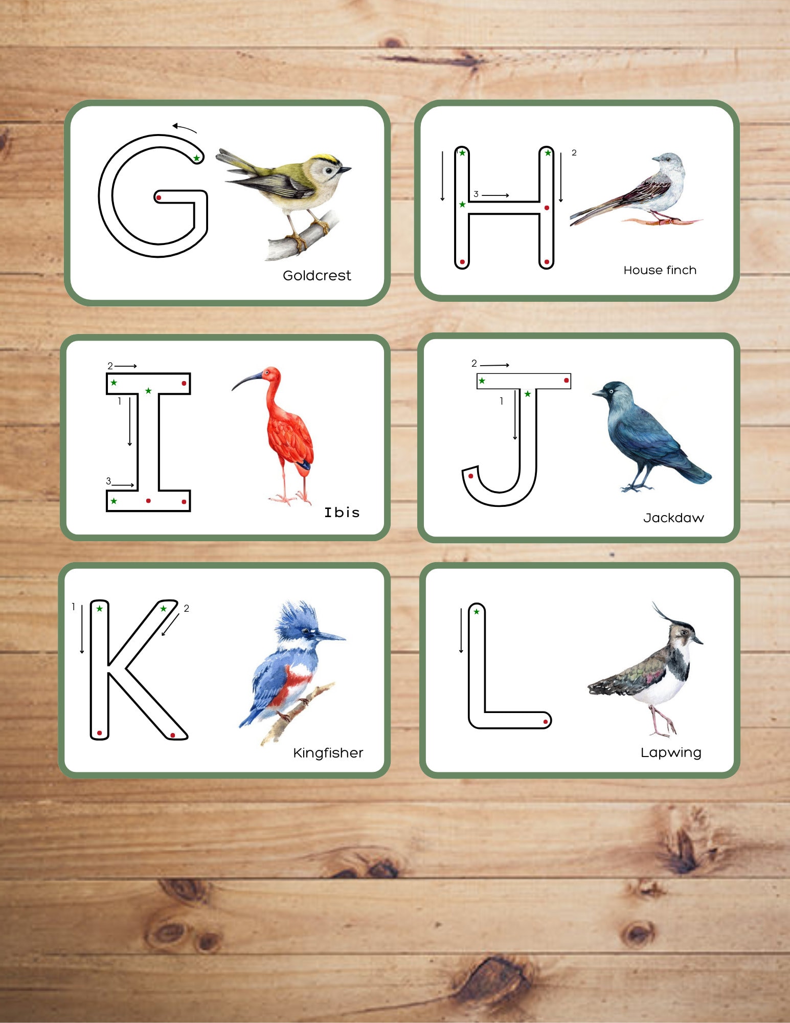 Printing Primer Cards Alphabet Uppercase Birds Letter Tracing - Etsy
