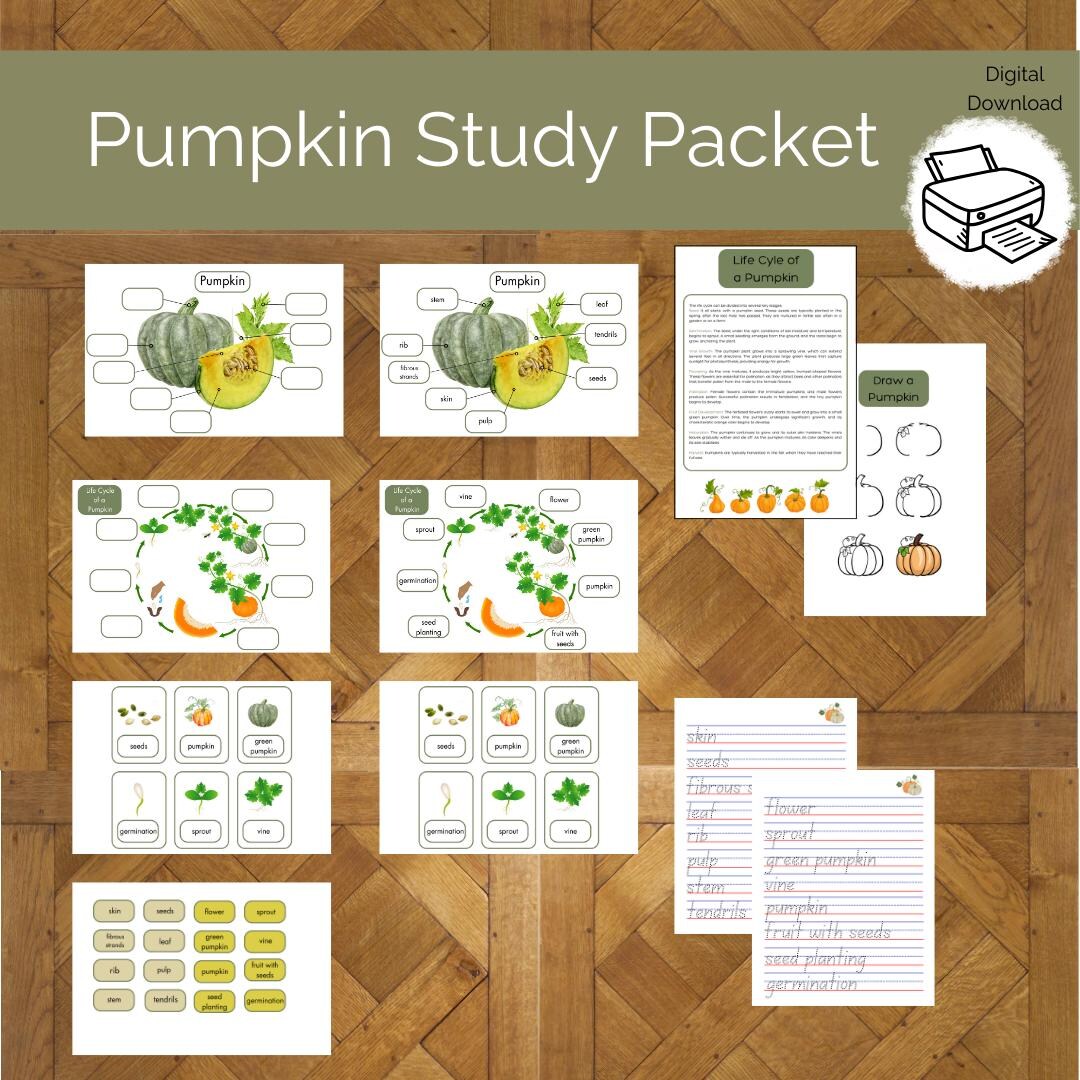 Pumpkin Unit Study: Homeschool Learning Bundle (digital Download) - Etsy