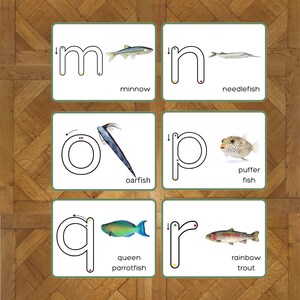 Printing Primer Cards Alphabet Lowercase, FISH Letter Tracing, A-Z ...