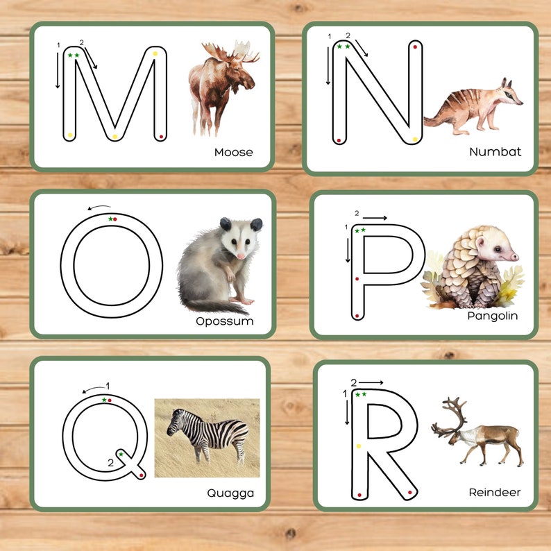 Printing Primer Cards Alphabet Uppercase MAMMALS Letter Tracing - Etsy