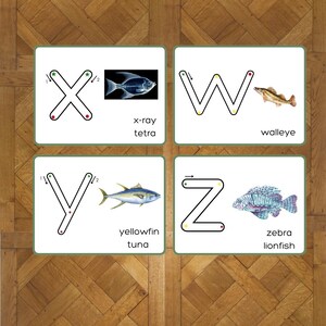 Printing Primer Cards Alphabet Lowercase, FISH Letter Tracing, A-Z ...