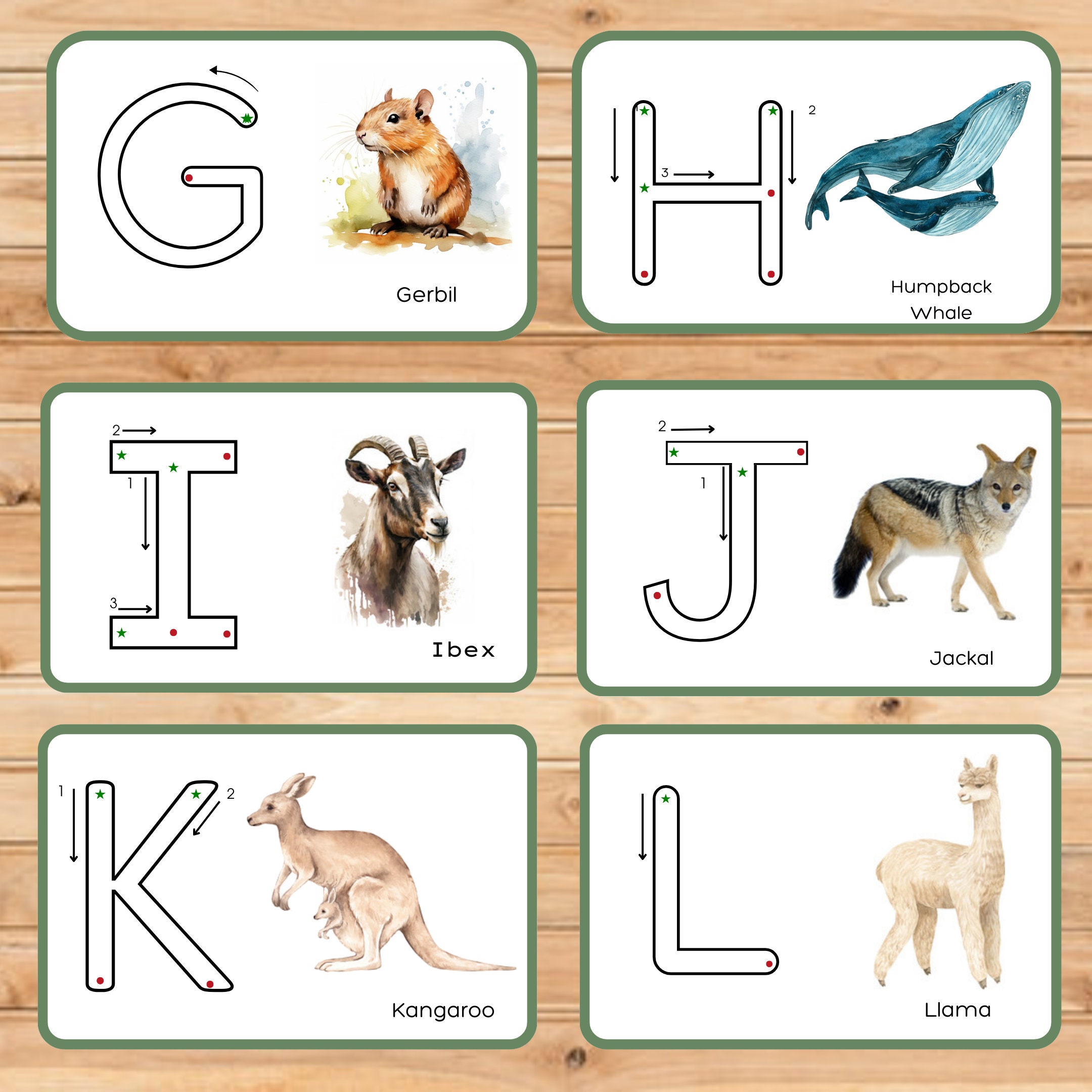 Printing Primer Cards Alphabet Uppercase MAMMALS Letter Tracing - Etsy