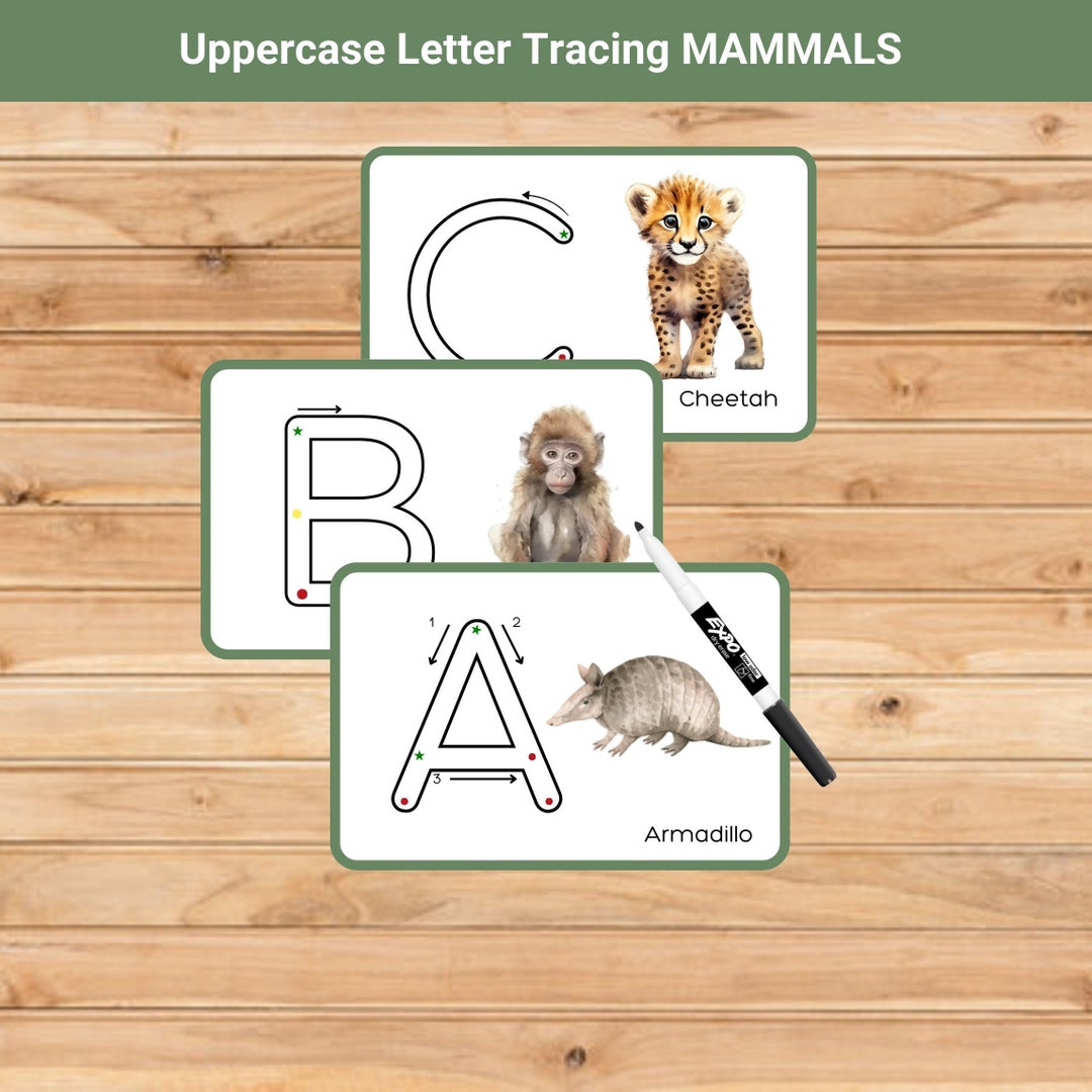 Printing Primer Cards Alphabet Uppercase MAMMALS Letter - Etsy