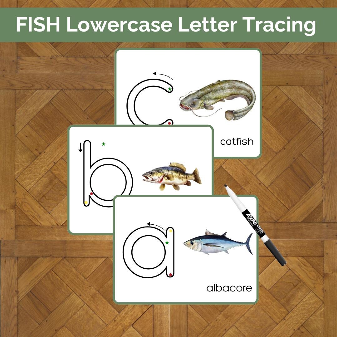 Printing Primer Cards Alphabet Lowercase, FISH Letter Tracing, A-Z ...