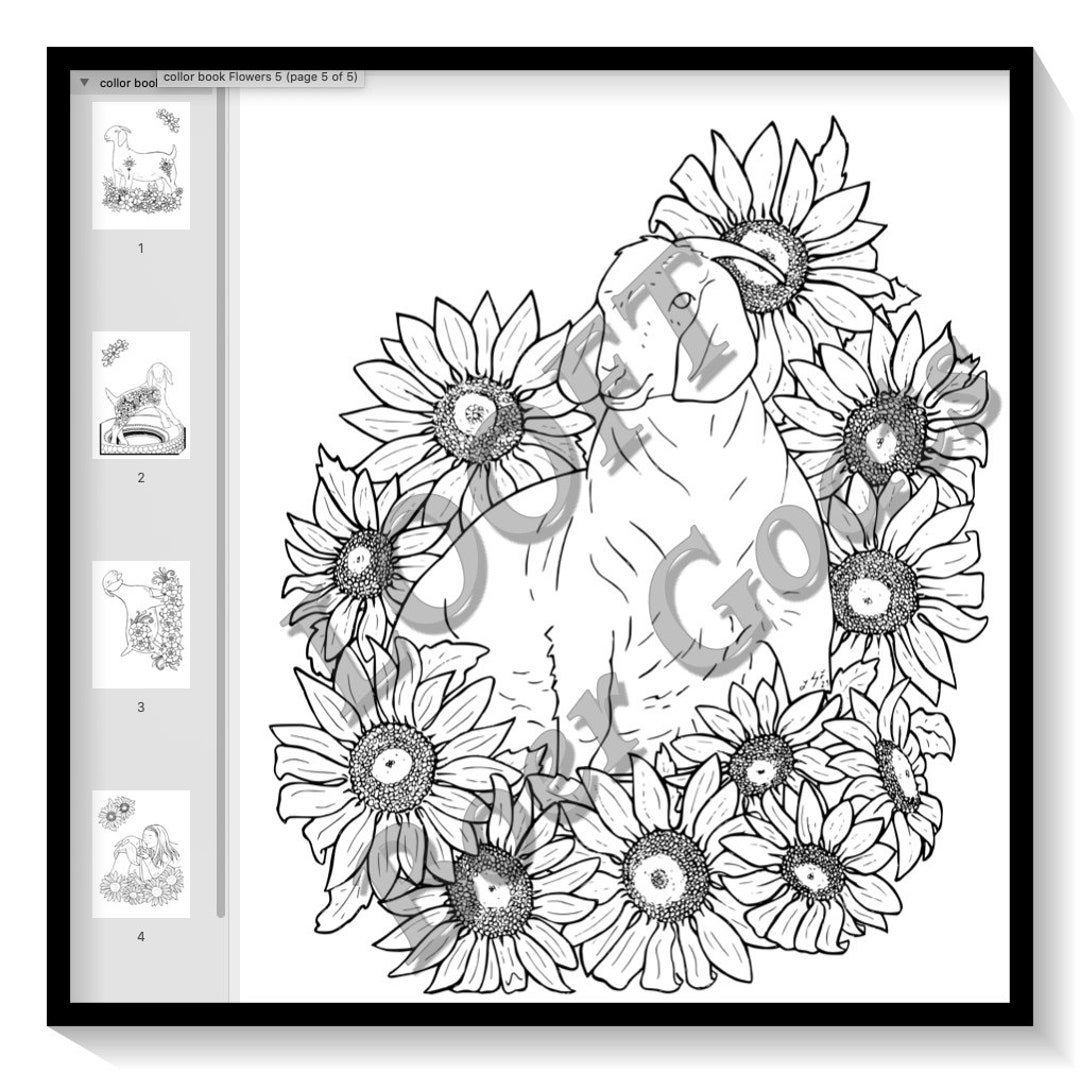 Looft Boer Goat Coloring Pages Set 1 - Etsy