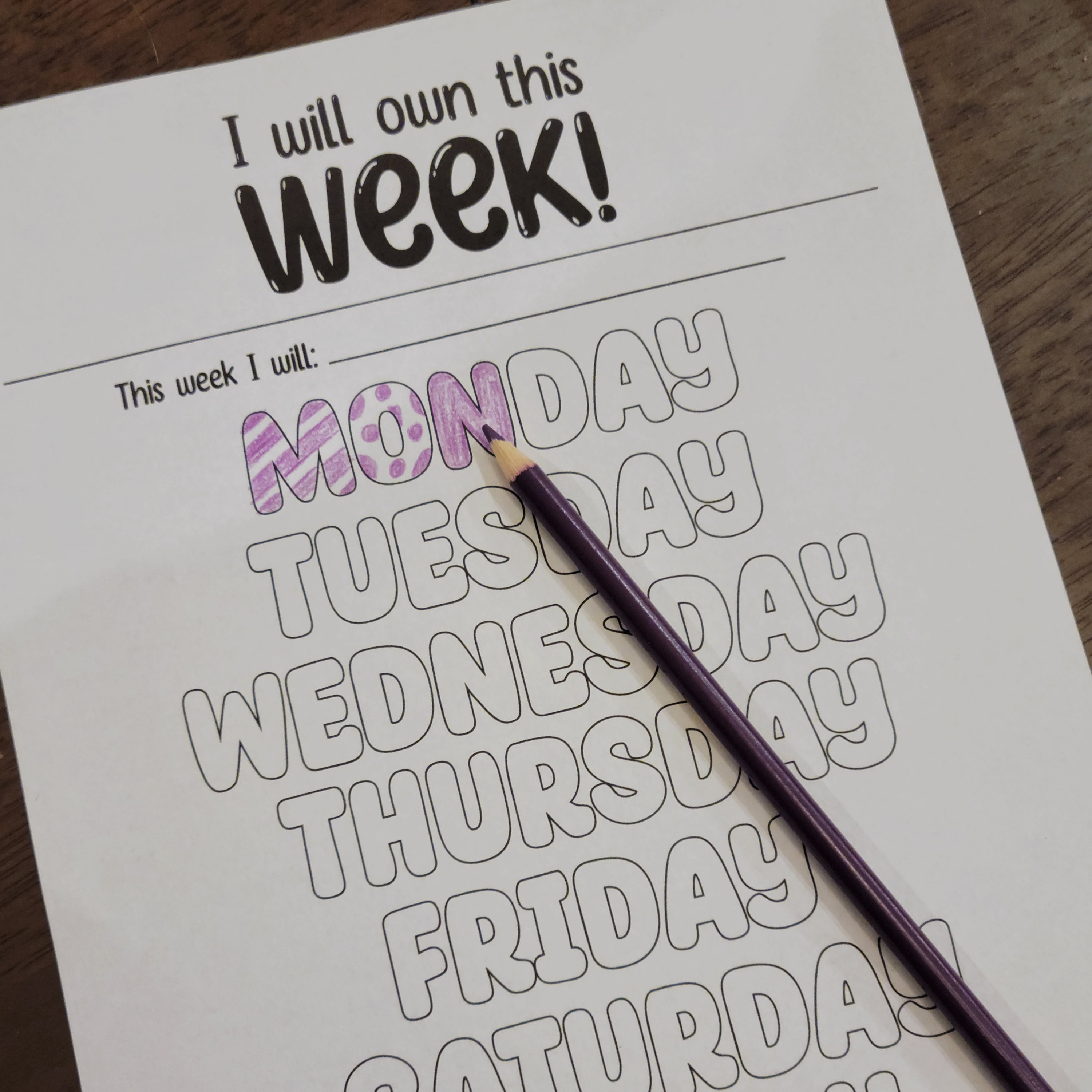 Own the Week Tracker - One Week Tracker - Etsy