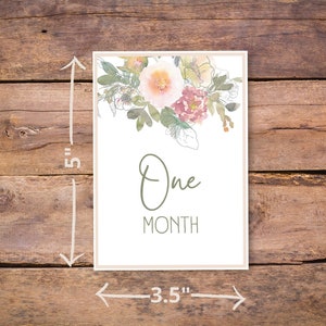 Printable Baby Milestone Cards, Monthly Milestone Cards for Baby Photos ...