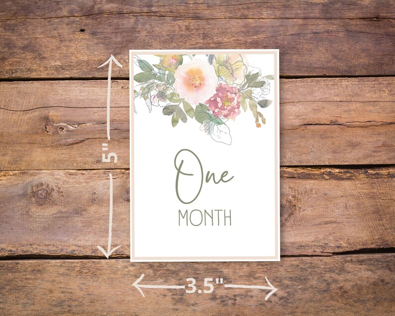 Printable Baby Milestone Cards, Monthly Milestone Cards for Baby Photos ...