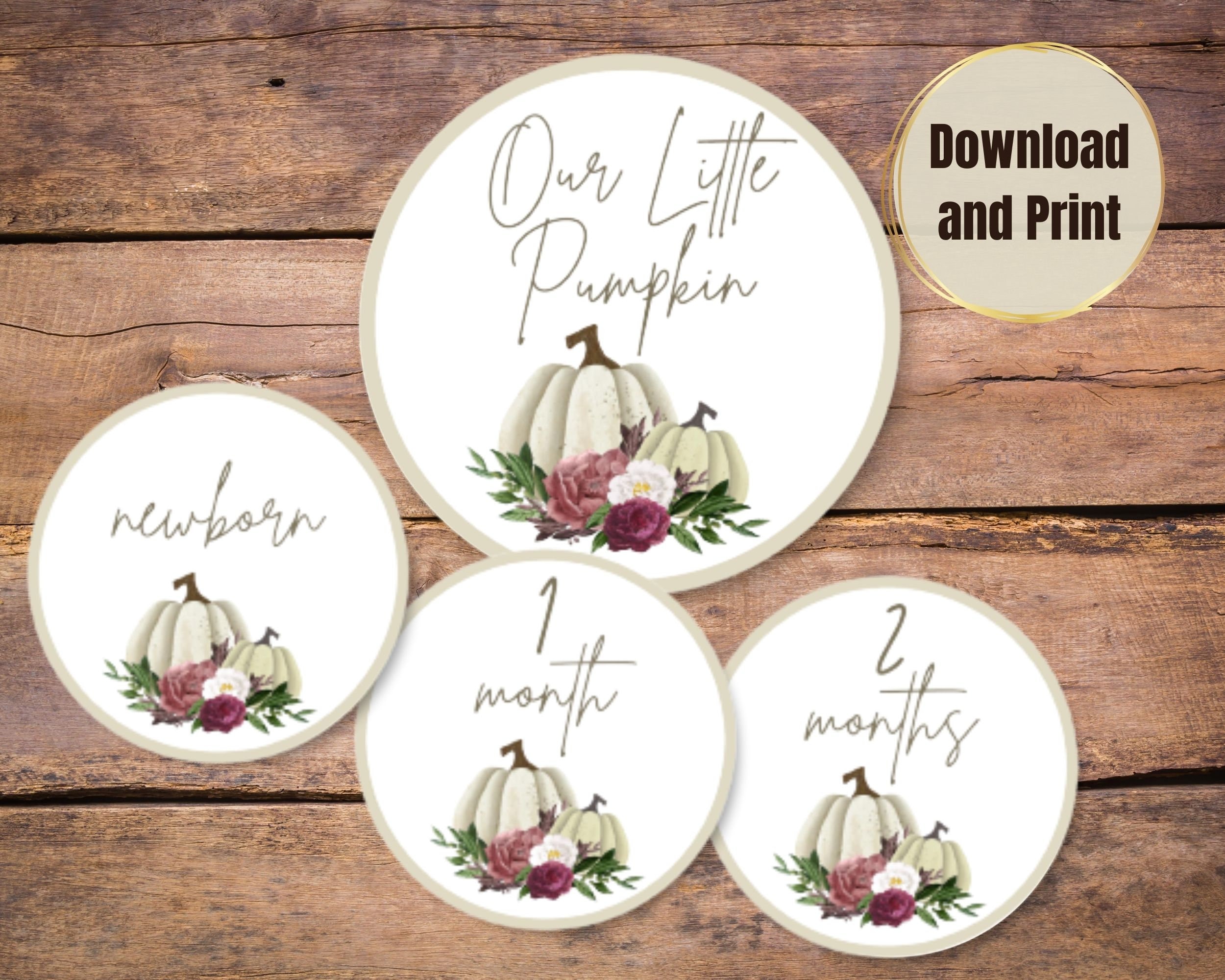 Printable First Year Photo Banner, Monthly Milestones - Etsy