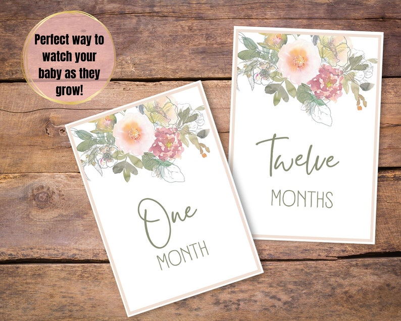 Printable Baby Milestone Cards, Monthly Milestone Cards for Baby Photos ...