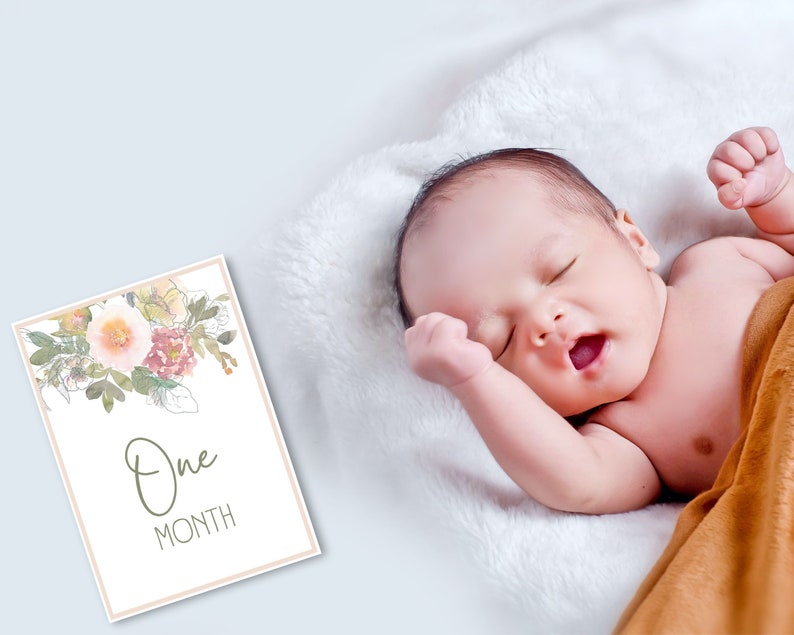 Printable Baby Milestone Cards, Monthly Milestone Cards for Baby Photos ...