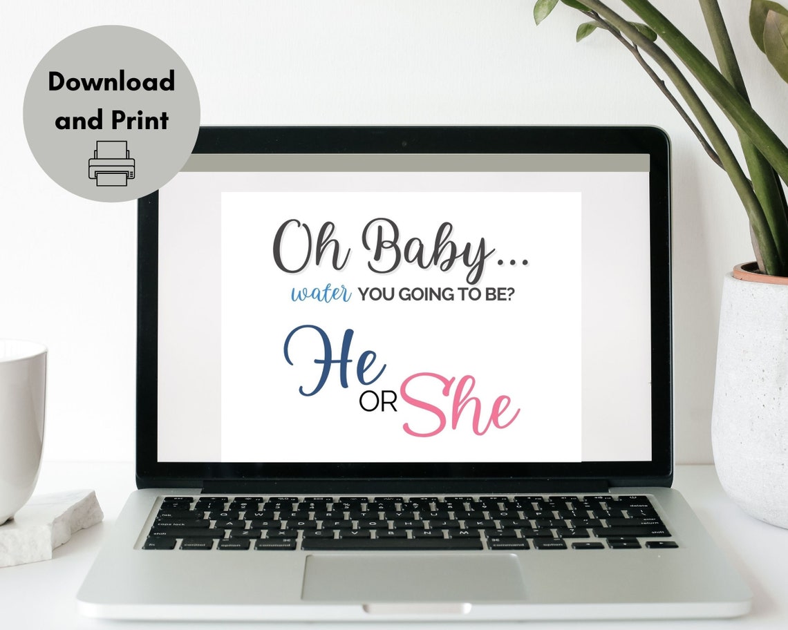 Gender Reveal Party He or She Sign and Team Boy Team Girl Cards ...