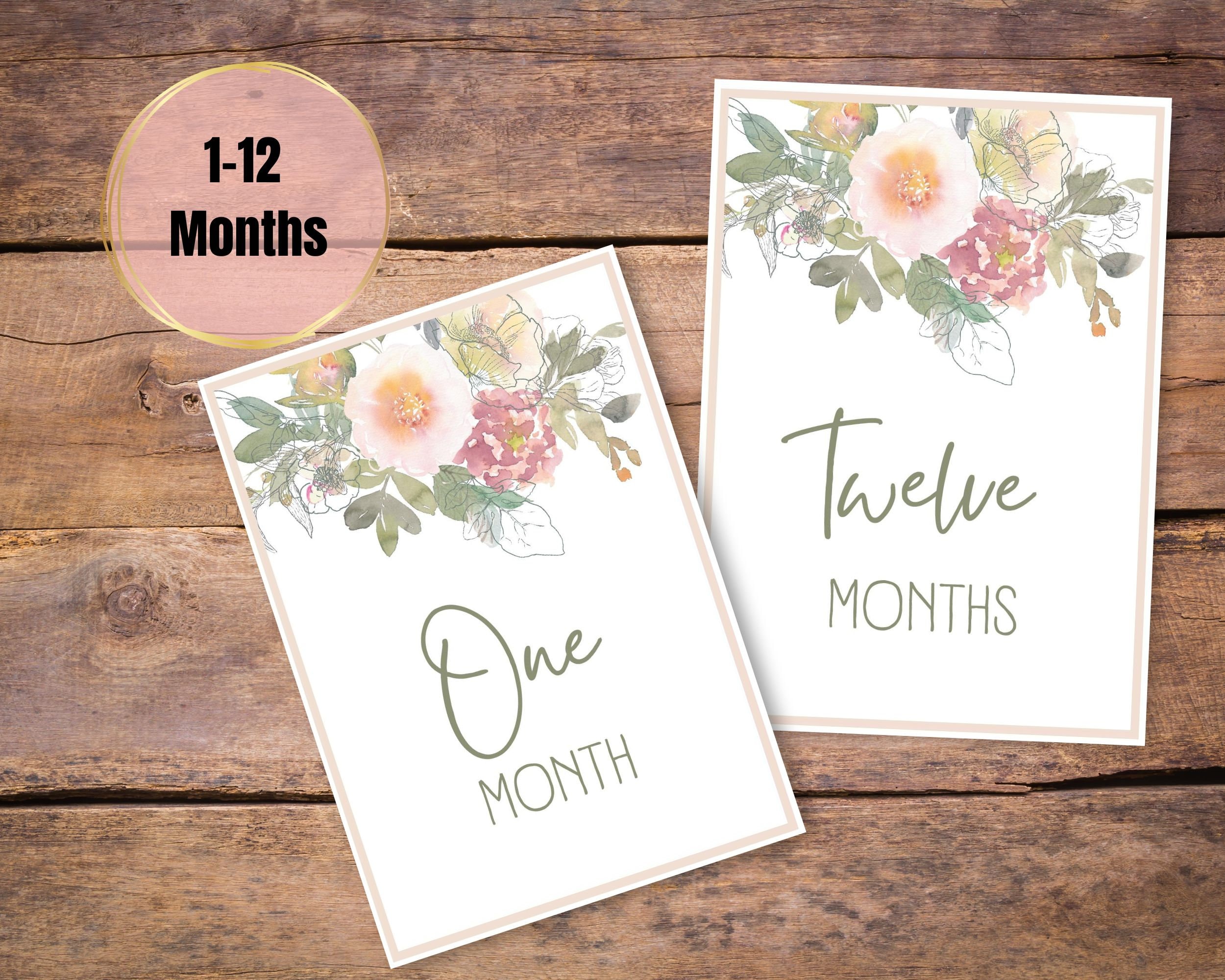 Printable Baby Milestone Cards Monthly Milestone Cards for - Etsy