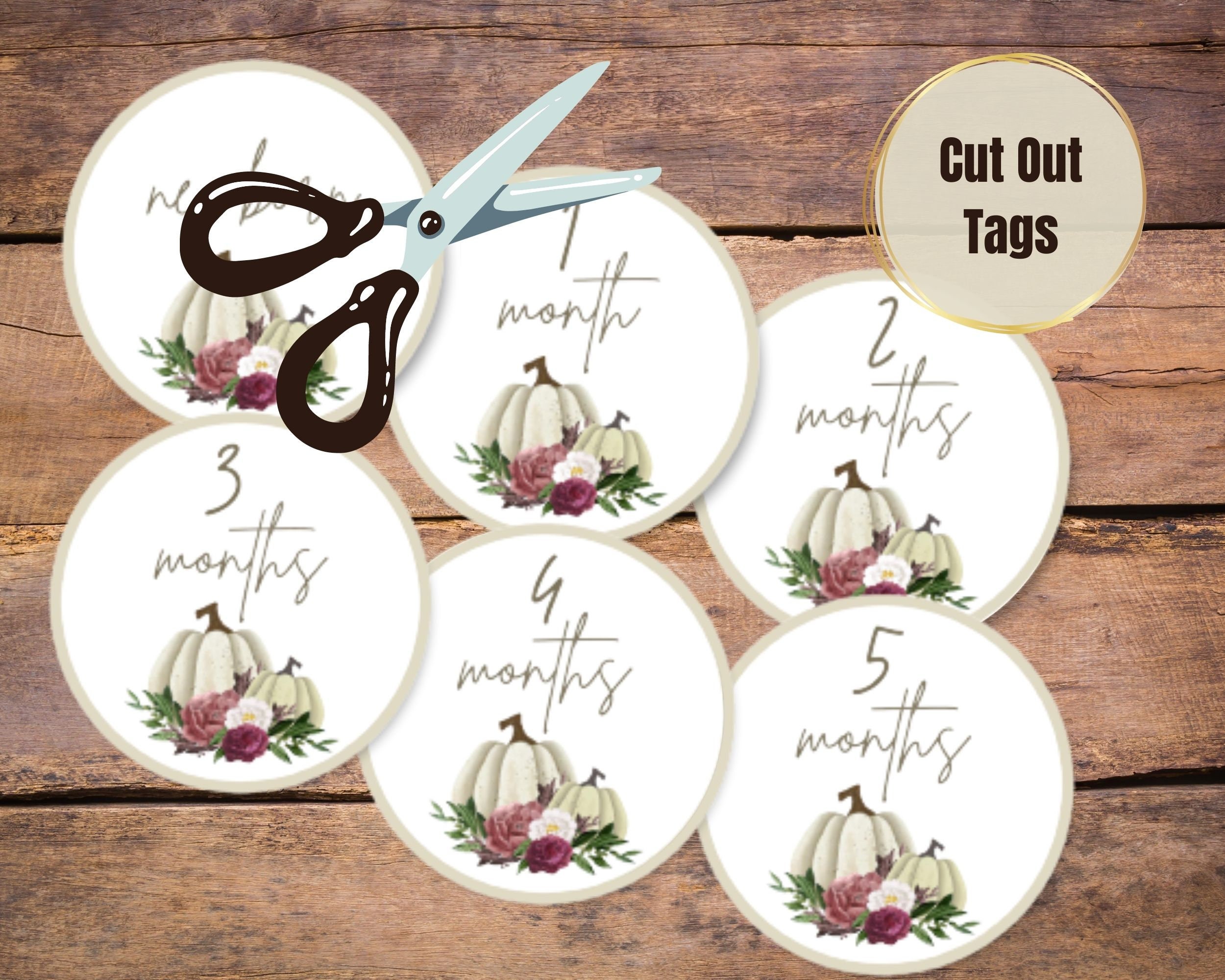 Printable First Year Photo Banner, Monthly Milestones - Etsy