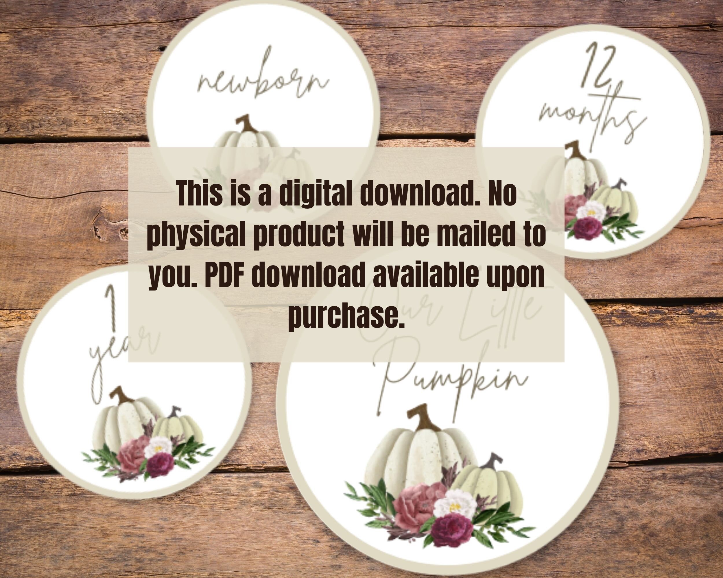 Printable First Year Photo Banner, Monthly Milestones - Etsy