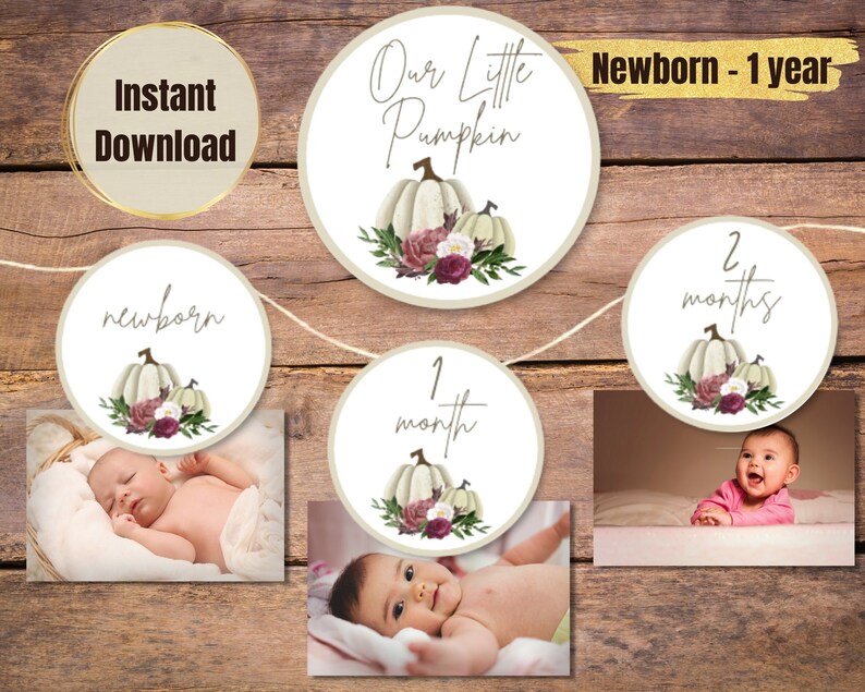 Printable First Year Photo Banner, Monthly Milestones - Etsy