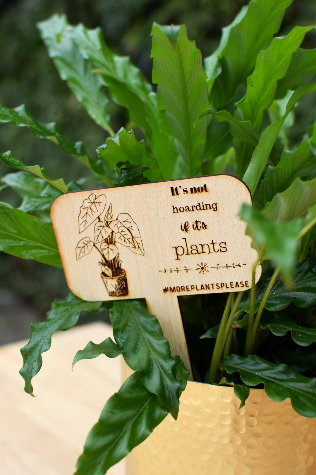 Plywood Funny Plant Tag Label Decor Stake Ecofriendly Pot Marker Sign ...