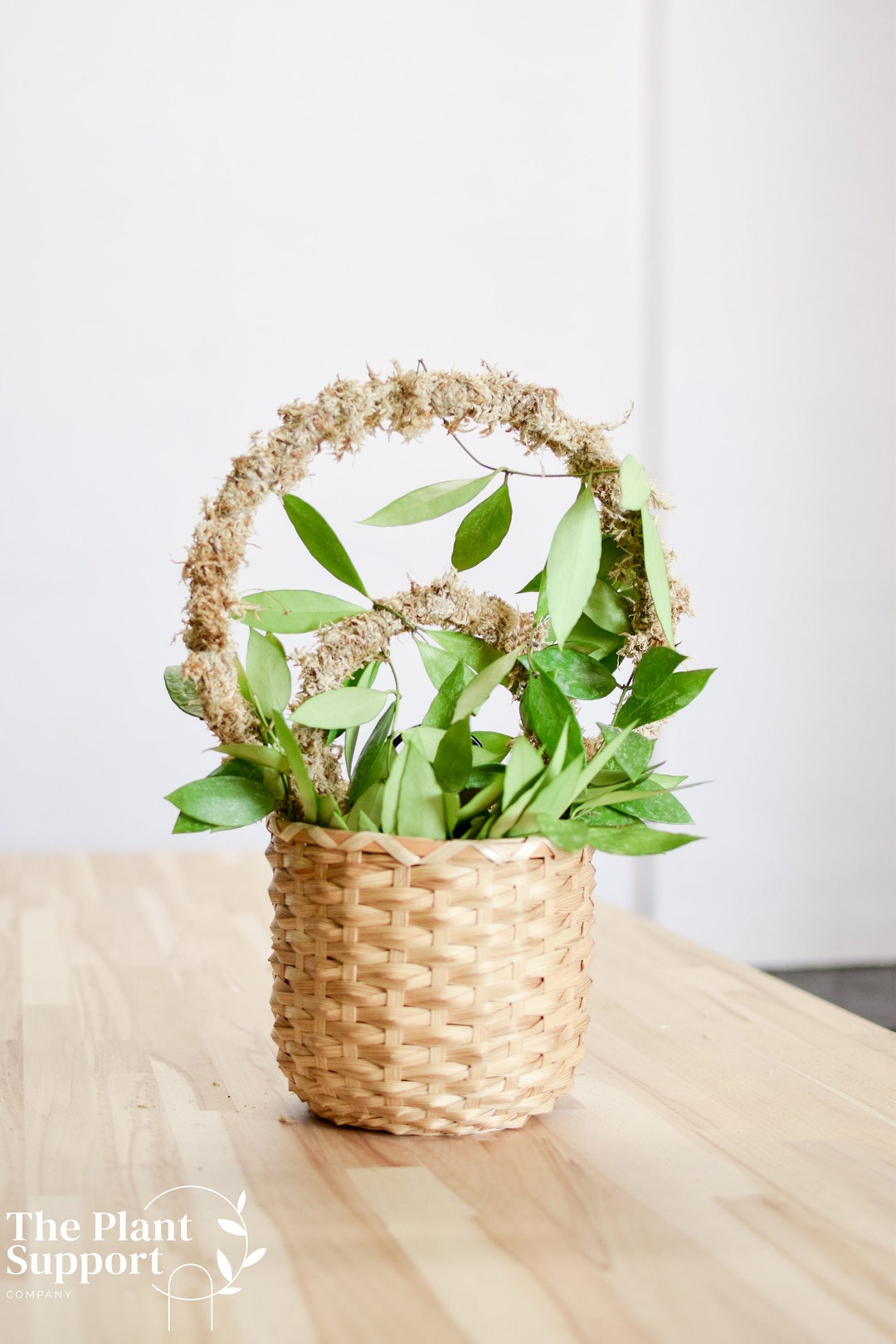 Plant Trellis Plant Climbing Vines Support Indoor Planter Climber ...