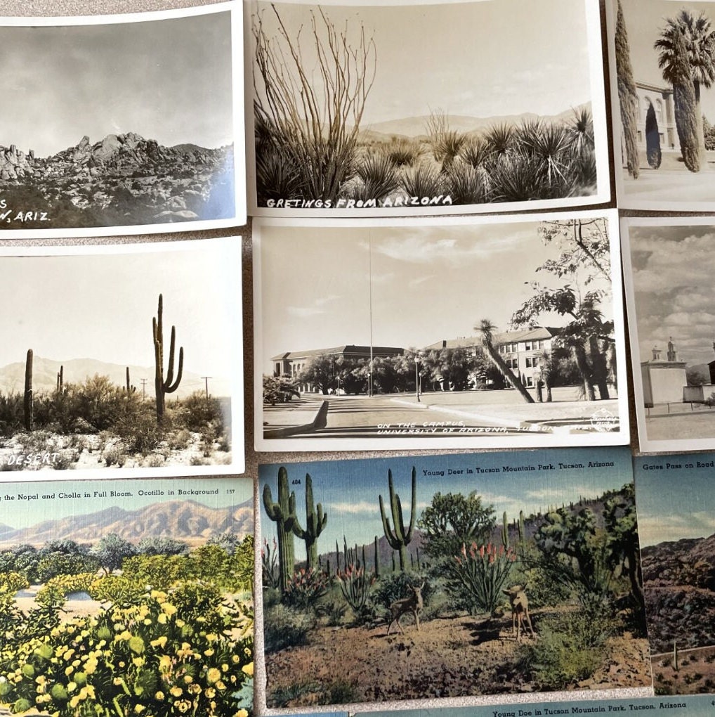 Vintage 1930s Arizona Postcards, Vintage Frashers Fotos Postcards ...
