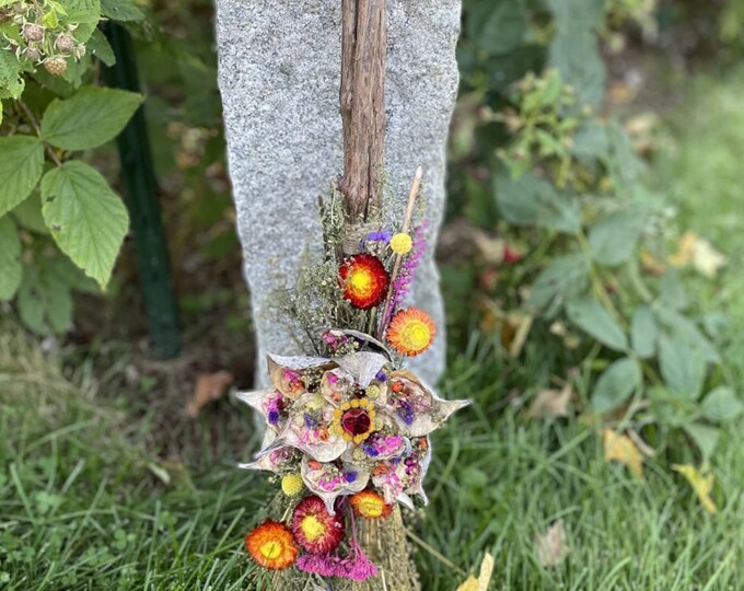 Cinnamon Broom, Fall Dried Flower and Cinnamon Broom, Aromatic Cinnamon ...