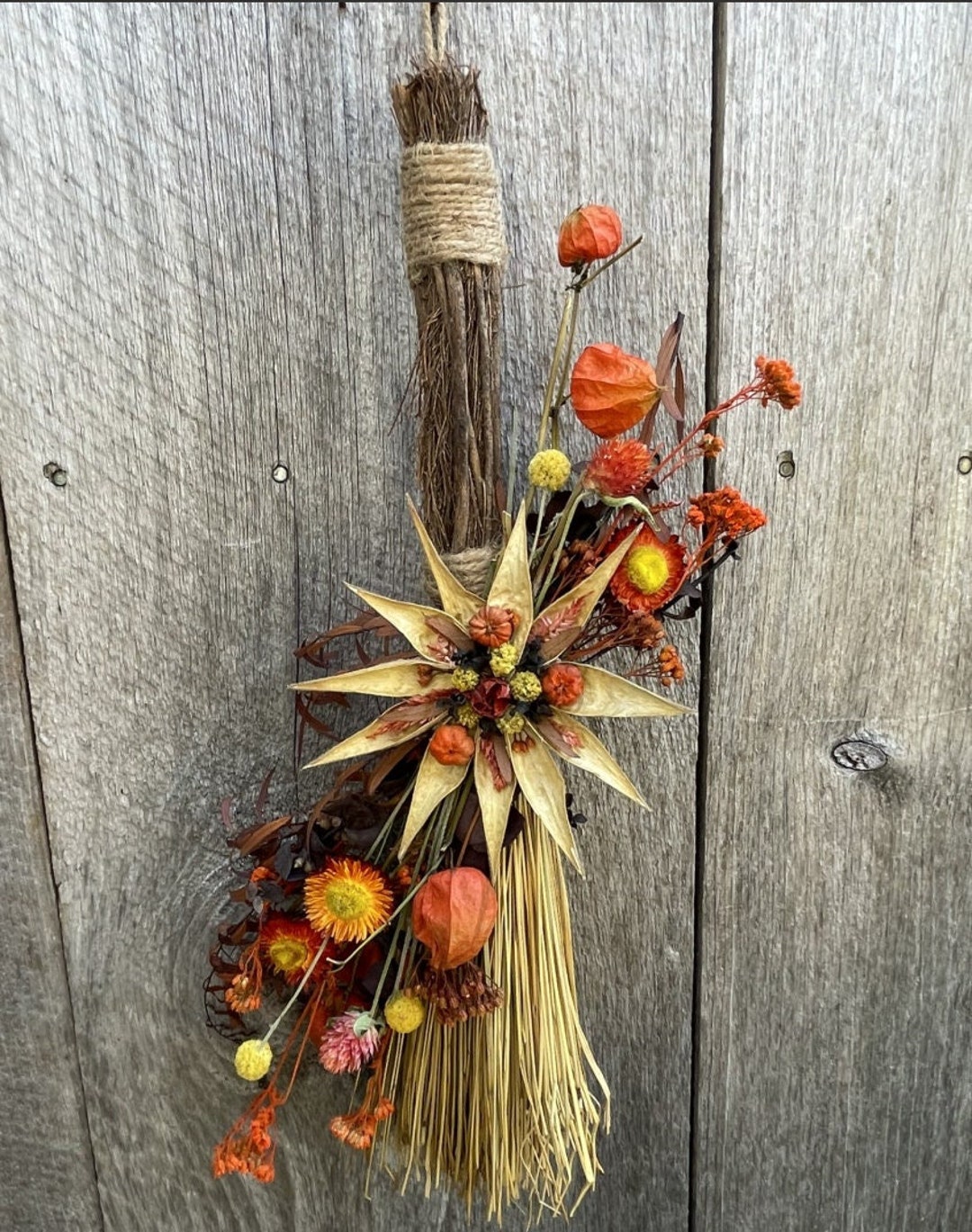 Cinnamon Broom, Fall Dried Flower and Cinnamon Broom, Aromatic ...