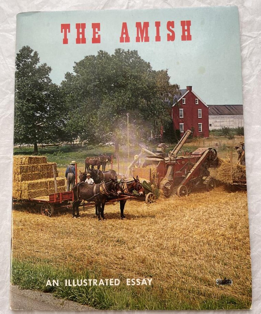 Vintage the Amish an Illustrated Essay by Elmer L Smith 2nd Printing ...