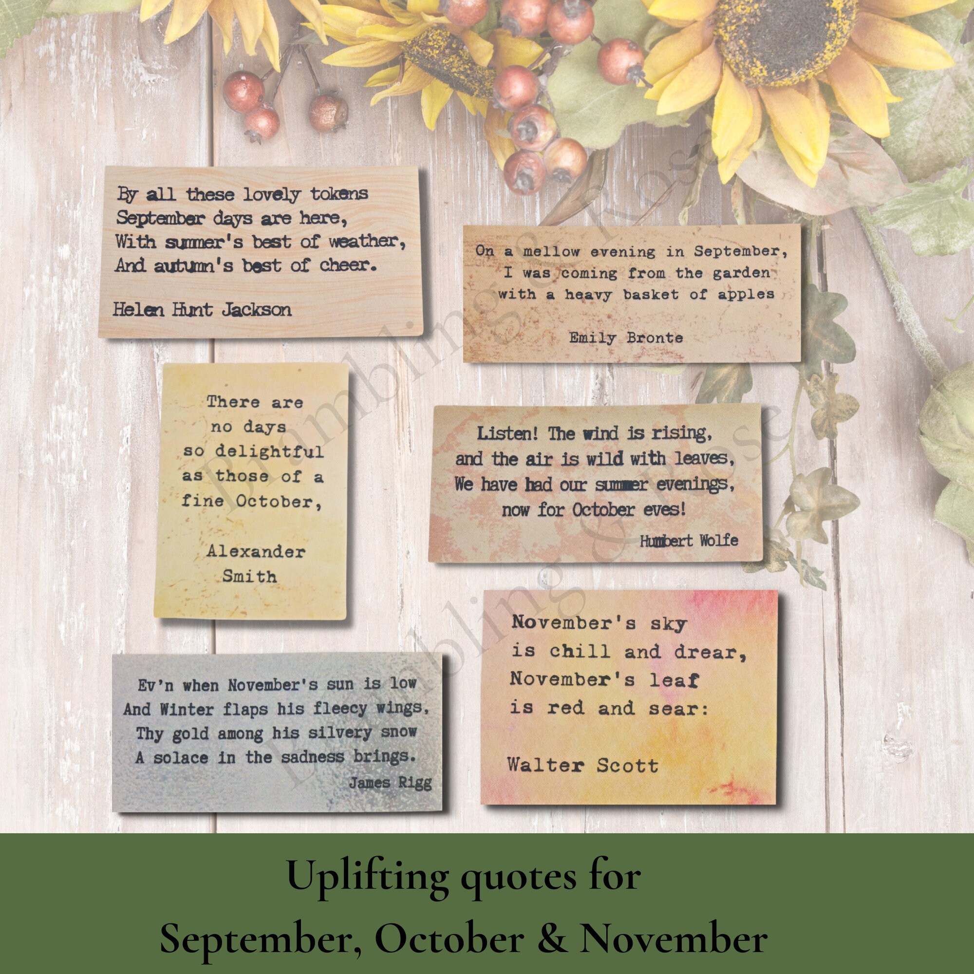 Book Quotes for Every Month, Printable Journal Stickers, Seasonal ...