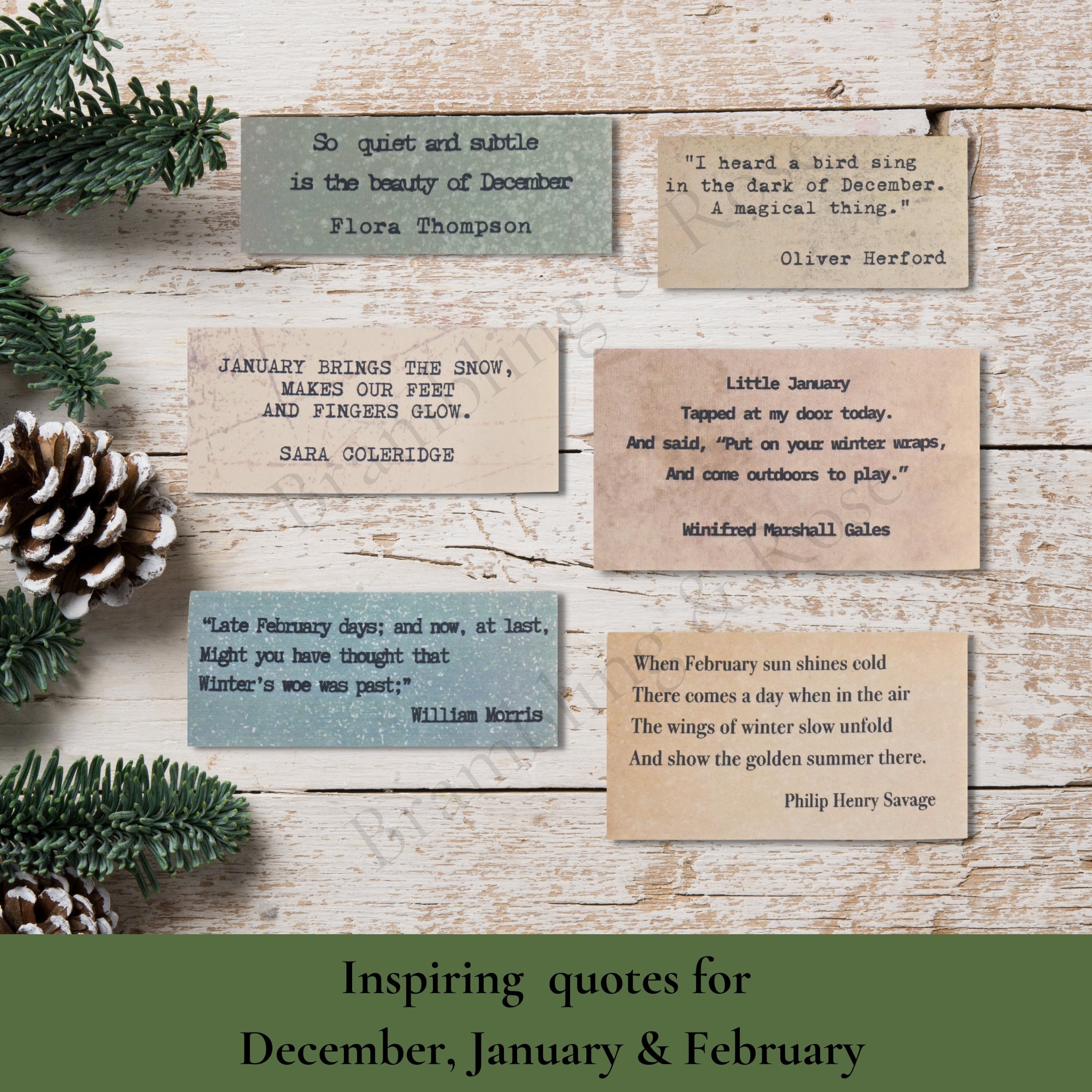 Book Quotes for Every Month, Printable Journal Stickers, Seasonal ...
