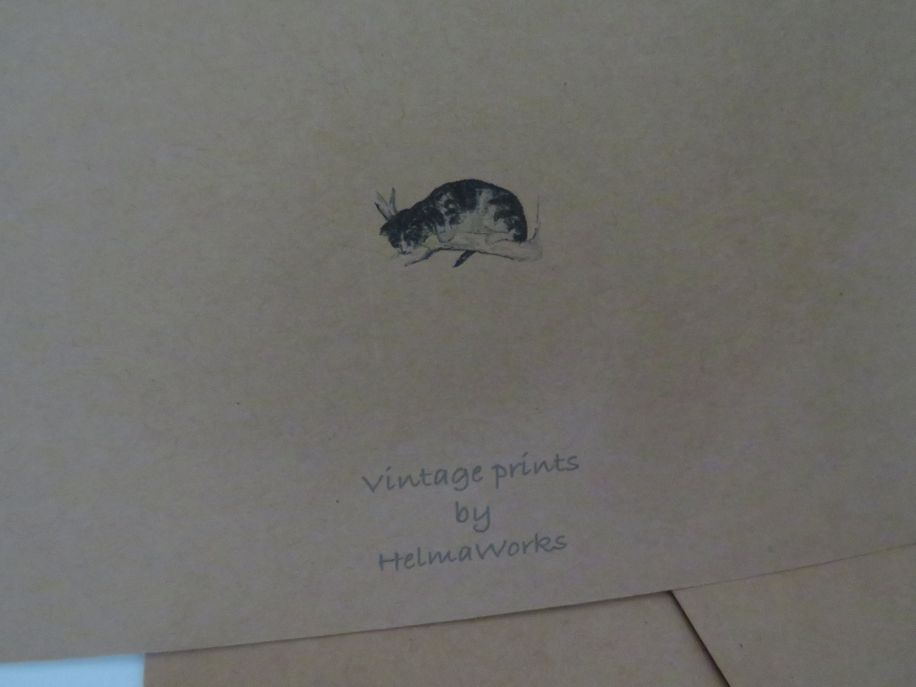 Cat Note Cards, 8 Vintage Tabby Cat Image Printed on Kraft Note Cards ...