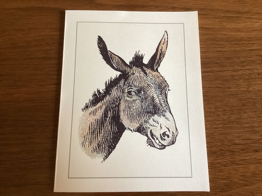 Donkey Burro Notecards. 8 Ivory Cards With Matching - Etsy